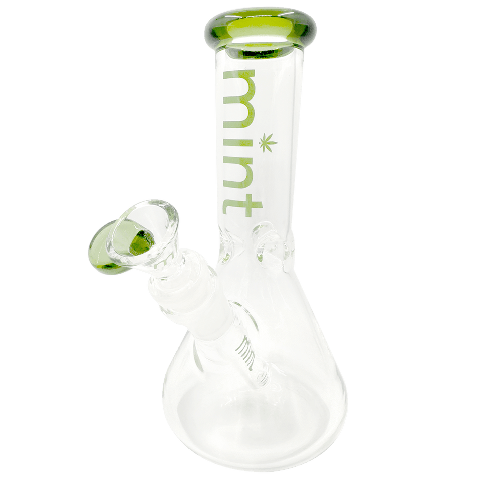 8" Mint Stubby Beaker Bong Bongs Canada